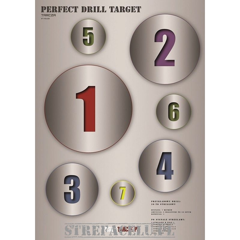 Tarcza Drill Target 1szt - polskietarcze.pl TargetZone